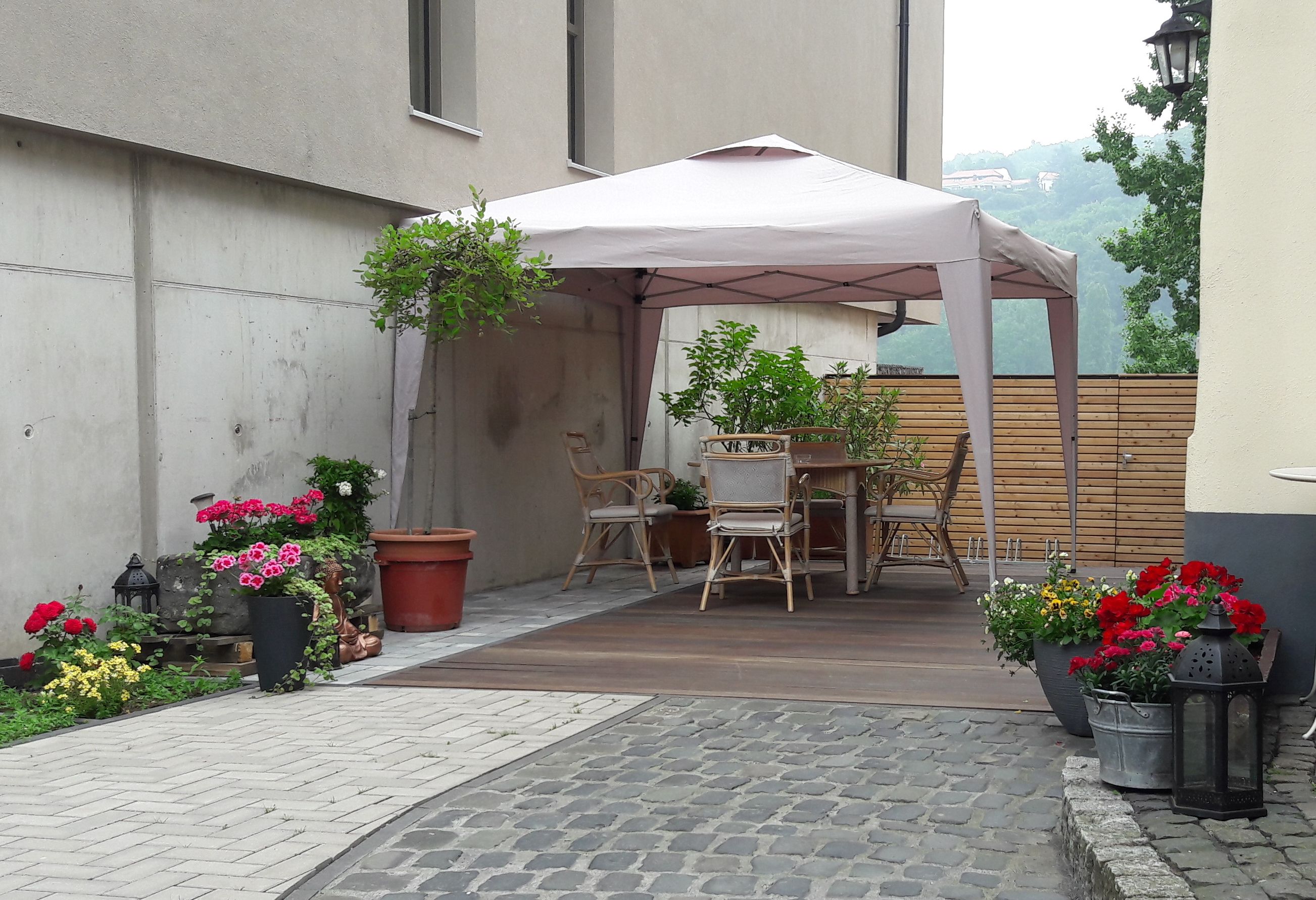 5 super ausgetsattete Ferienwohnungen direkt am Rhein in Koblenz